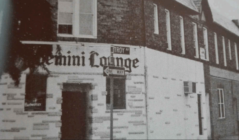 The Gemini Judgment: How Roy DeMeo’s Crew Silenced a Predator - Crime ...